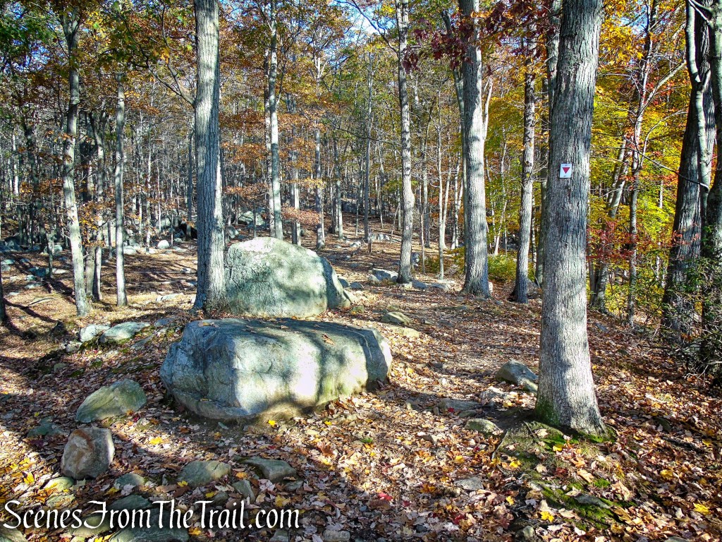 Lake Askoti Loop – Harriman State Park