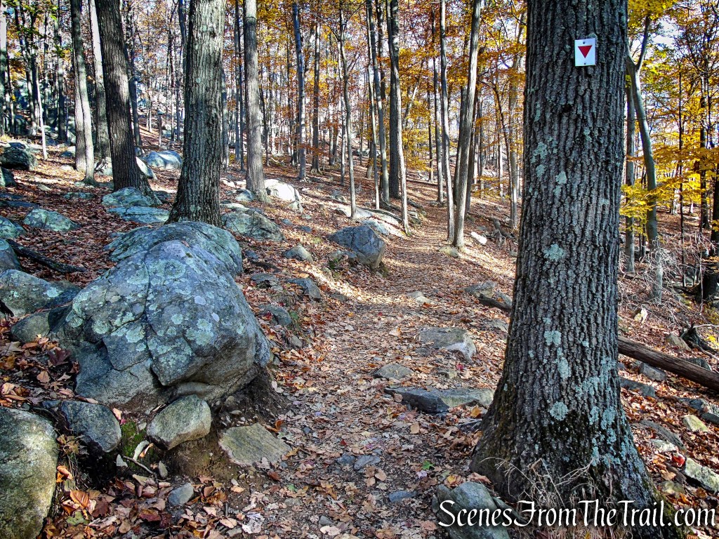 Lake Askoti Loop – Harriman State Park