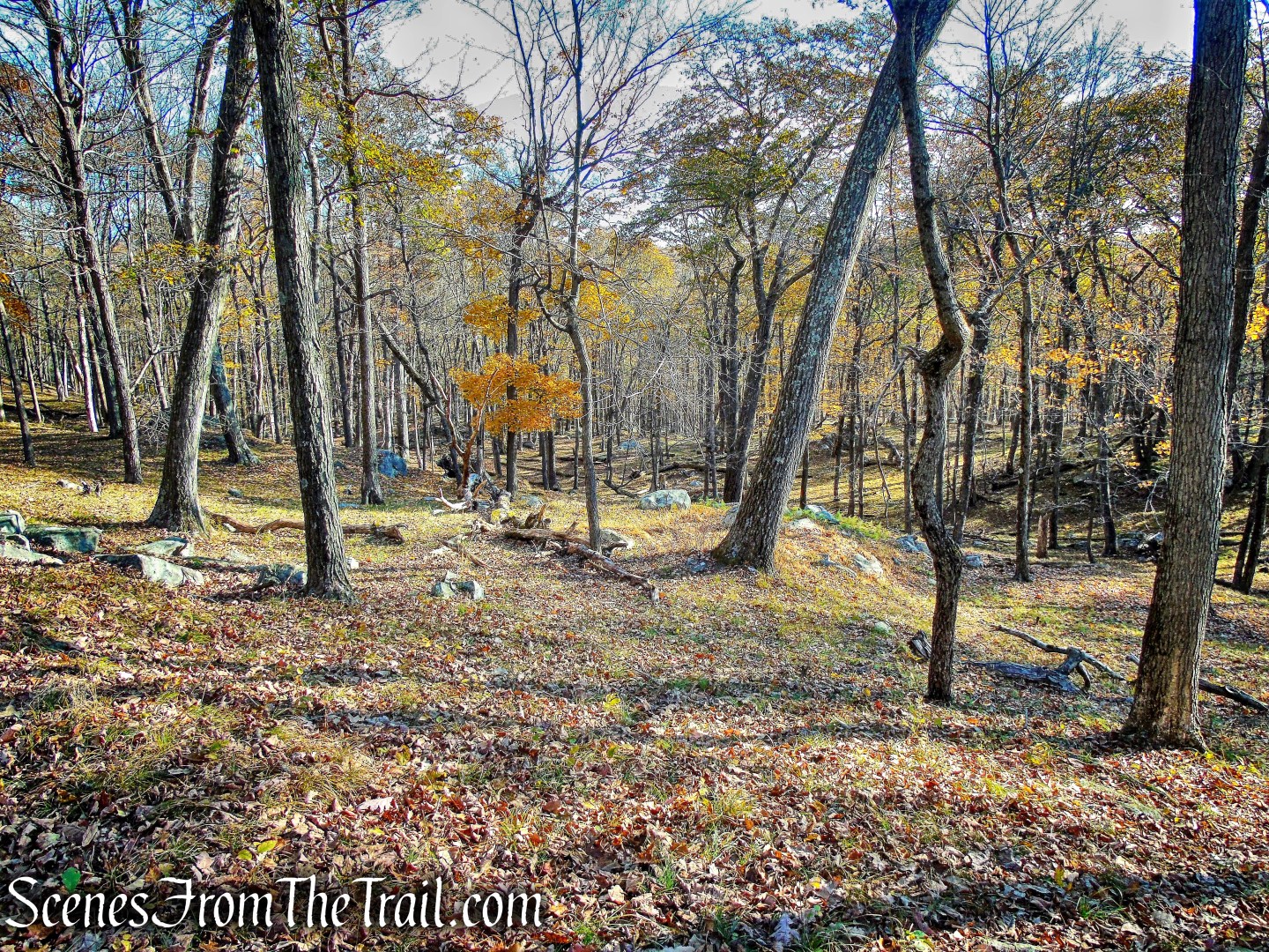 Lake Askoti Loop – Harriman State Park