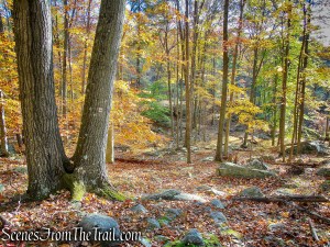 Lake Askoti Loop – Harriman State Park