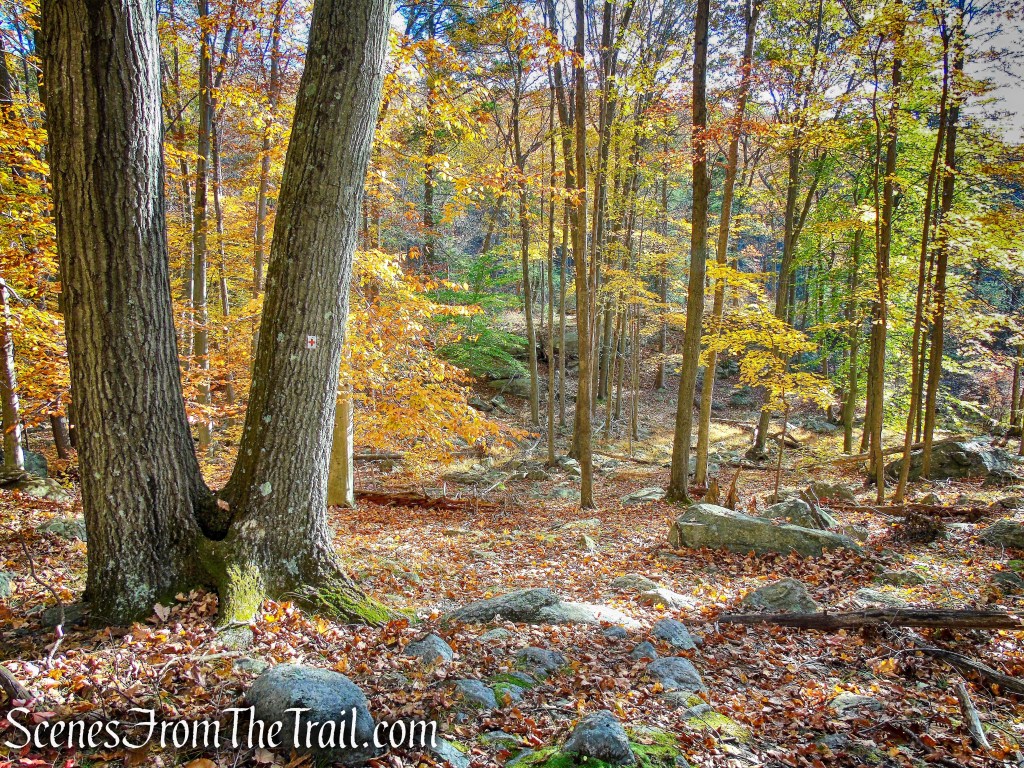 Lake Askoti Loop – Harriman State Park
