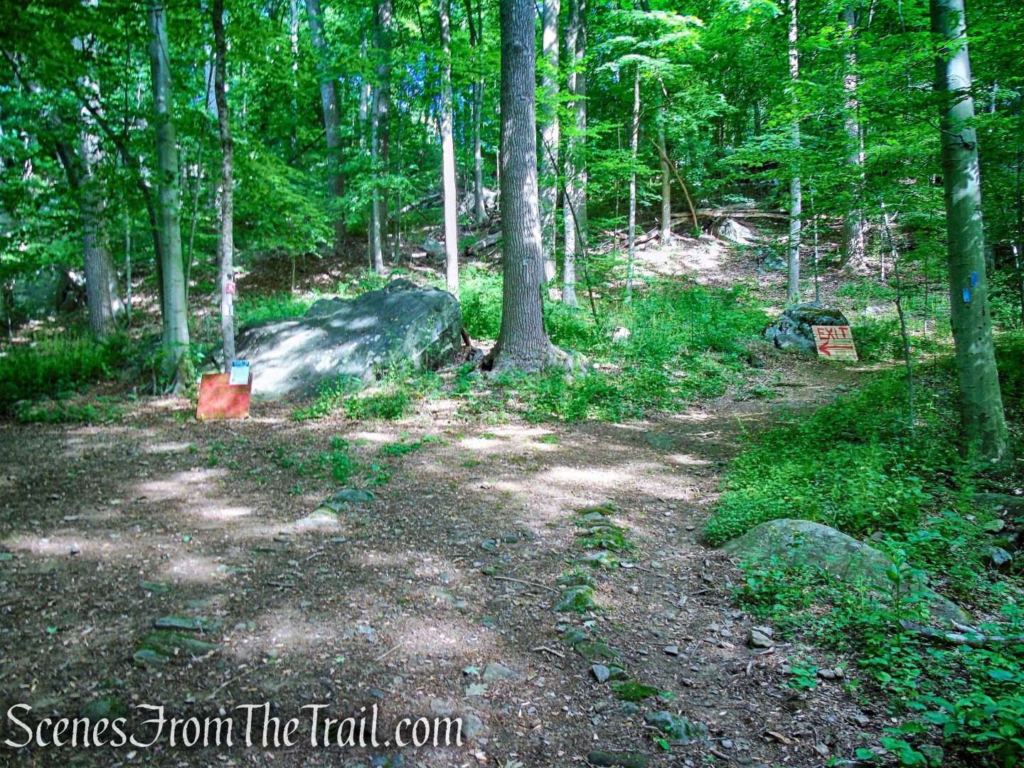 Leon Levy Preserve