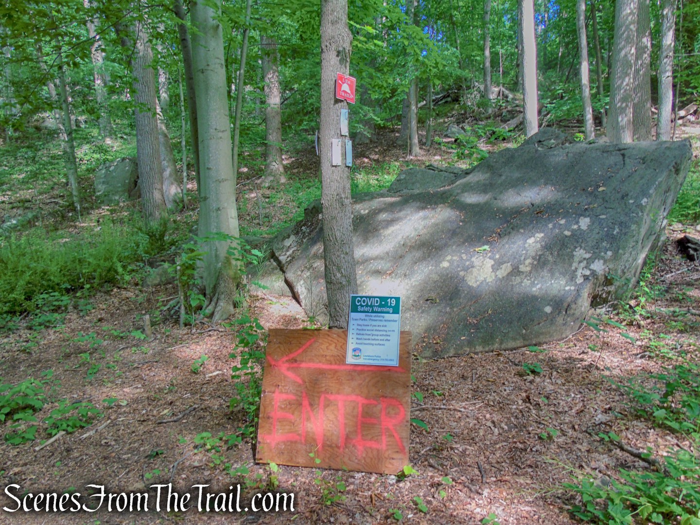 Leon Levy Preserve