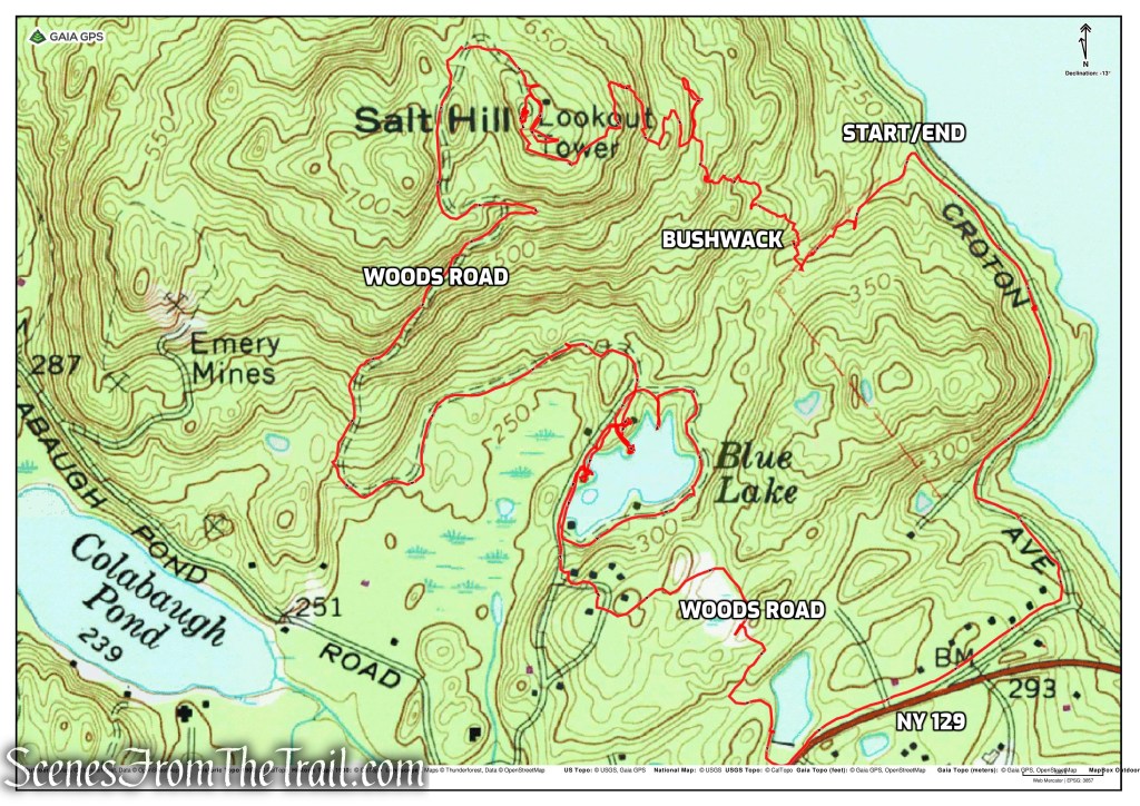 Salt Hill State Forest