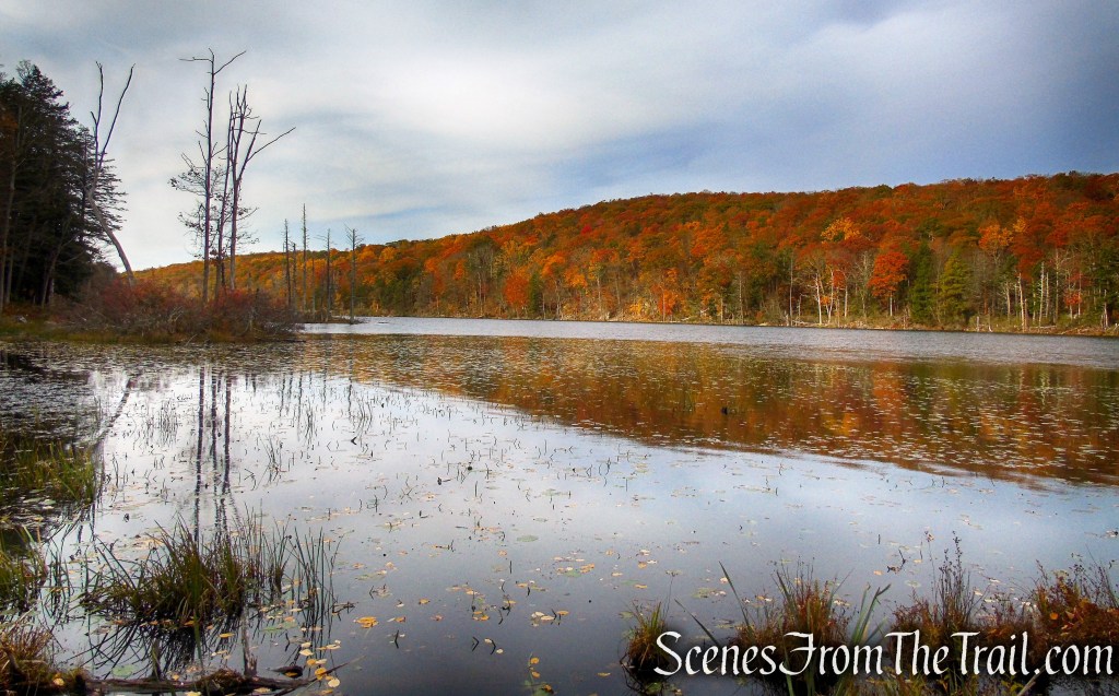 Canopus Lake Overlook Loop – Fahnestock State Park
