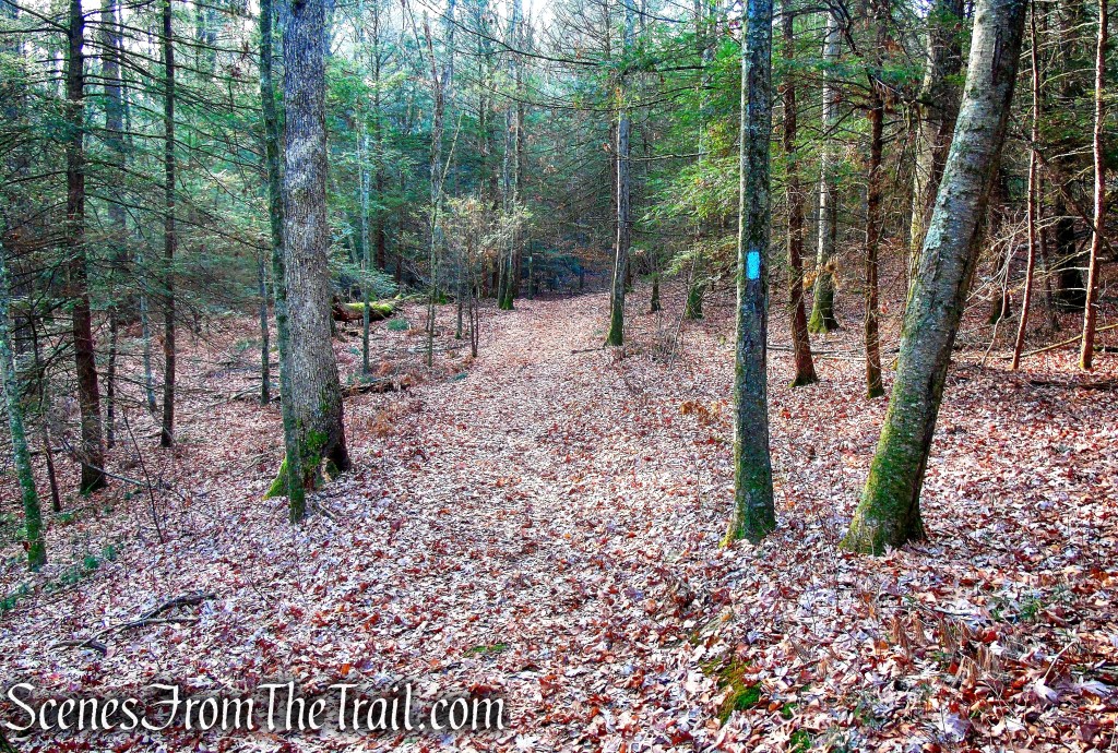 Leatherman’s Cave Loop – Mattatuck State Forest
