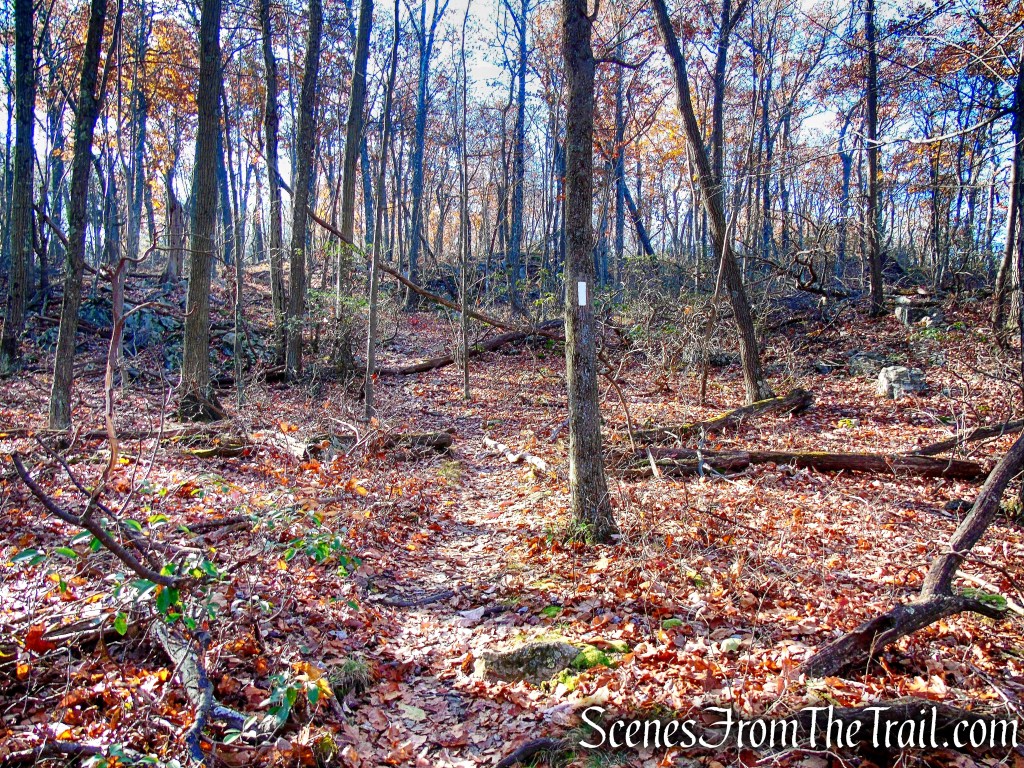 Canopus Lake Overlook from Long Hill Road – Fahnestock State Park