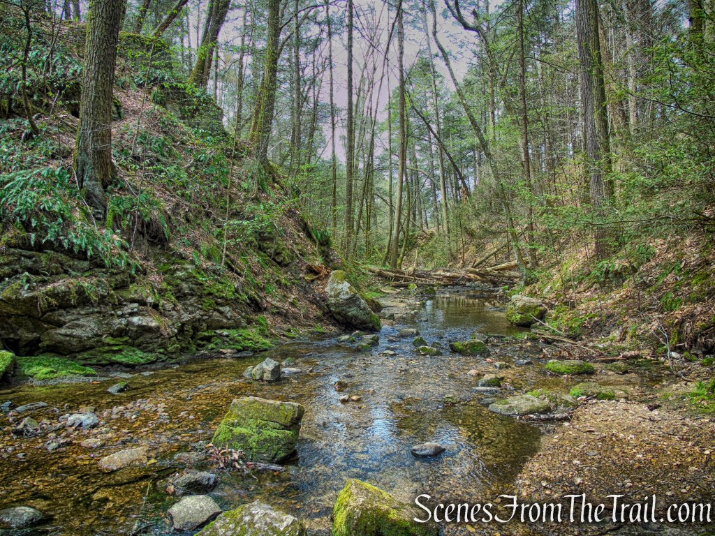 Nonnewaug Falls
