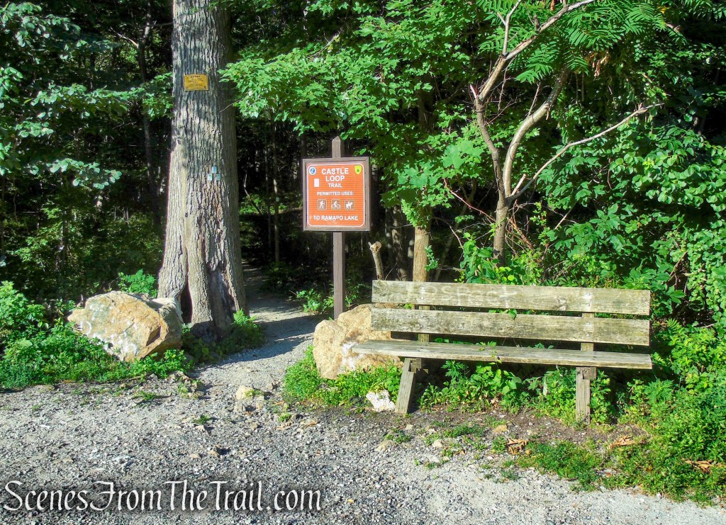 Castle Loop Trail – Ramapo Mountain State Forest