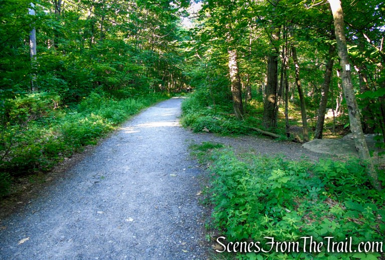 Castle Loop Trail – Ramapo Mountain State Forest