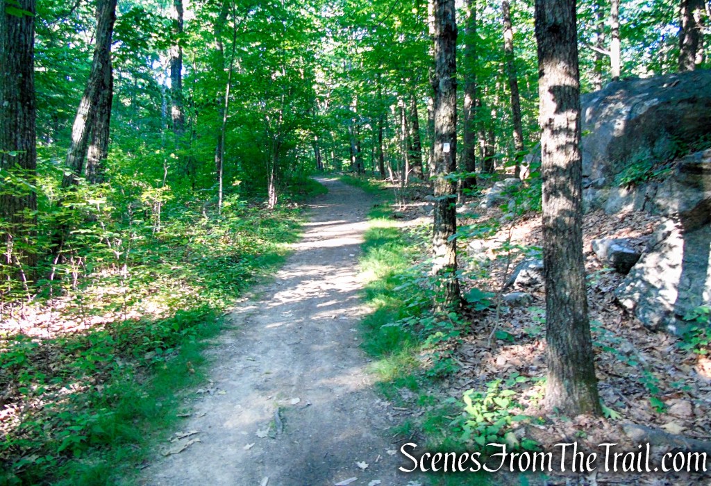 Castle Loop Trail – Ramapo Mountain State Forest