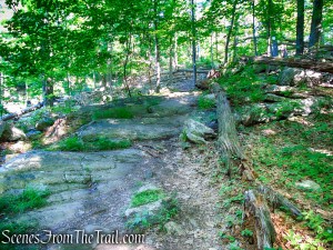 Castle Loop Trail – Ramapo Mountain State Forest