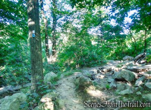 Castle Loop Trail – Ramapo Mountain State Forest