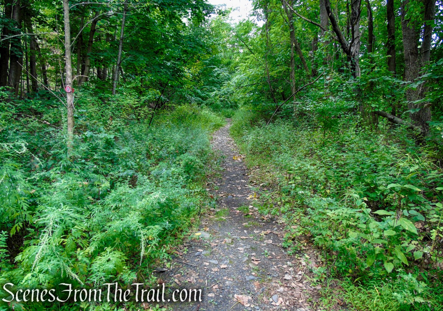 Snake Hill Loop from Crystal Lake