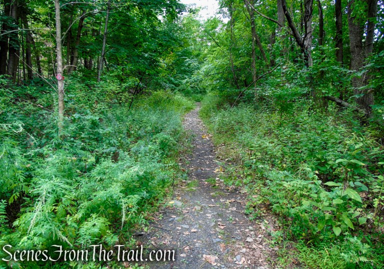 Snake Hill Loop from Crystal Lake