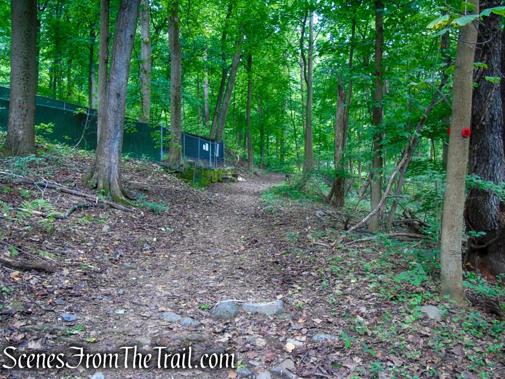 Snake Hill Loop from Crystal Lake