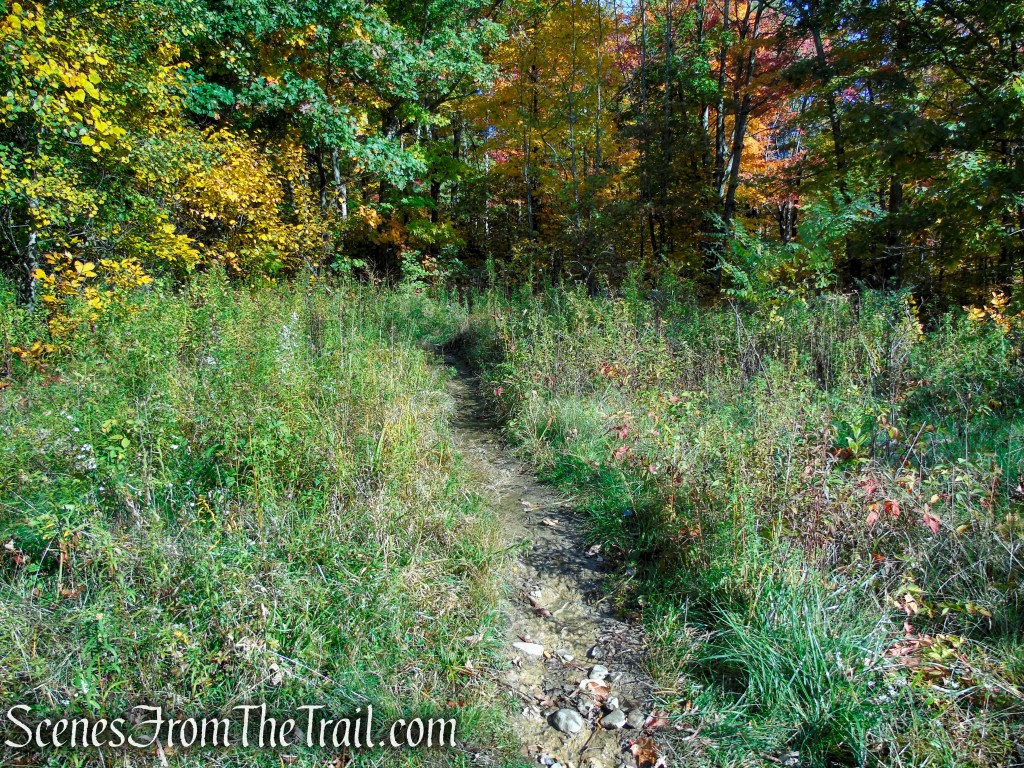 Shawangunk Ridge State Forest Loop from Cox Road Trailhead