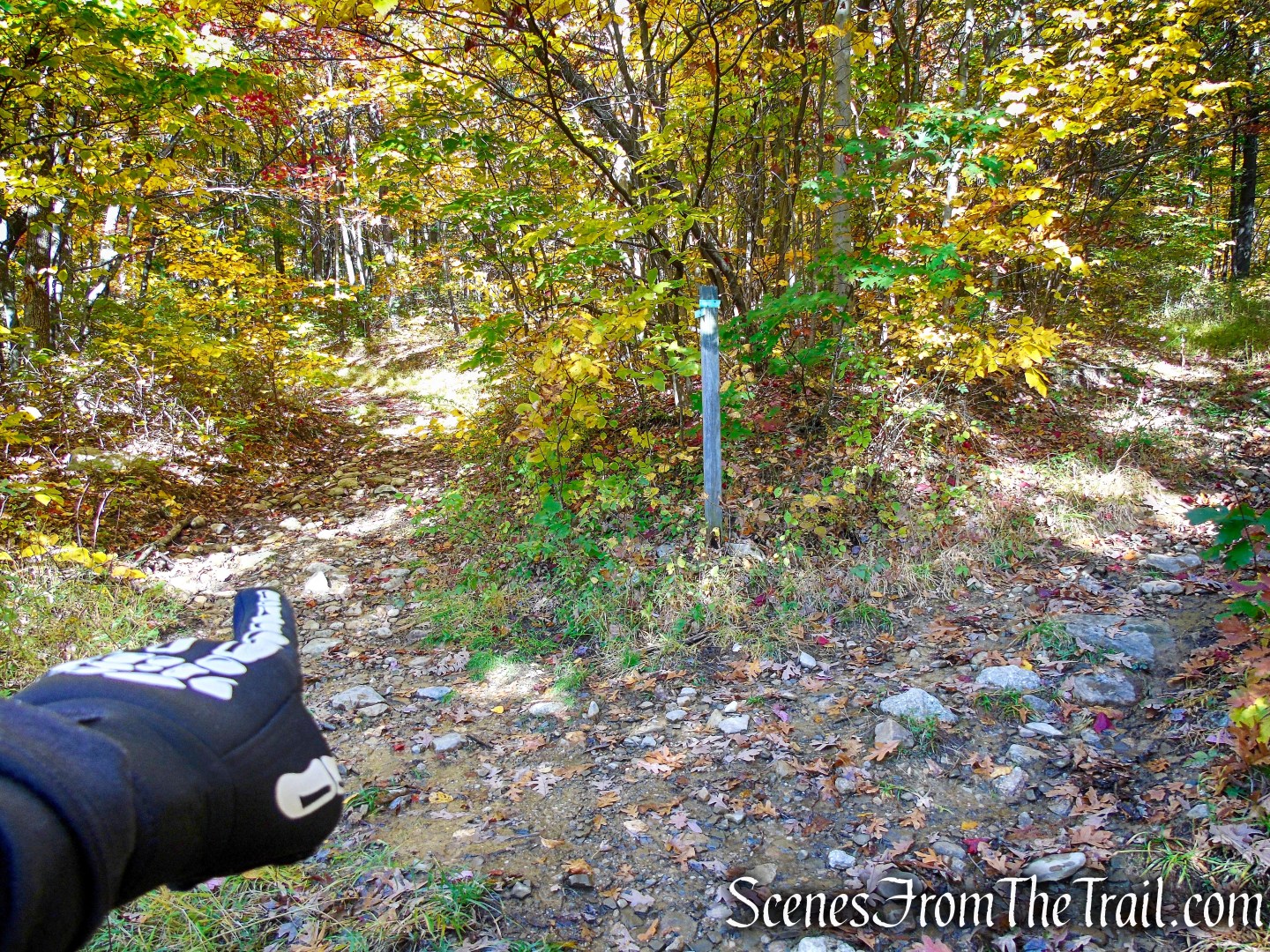 Shawangunk Ridge State Forest Loop from Cox Road Trailhead