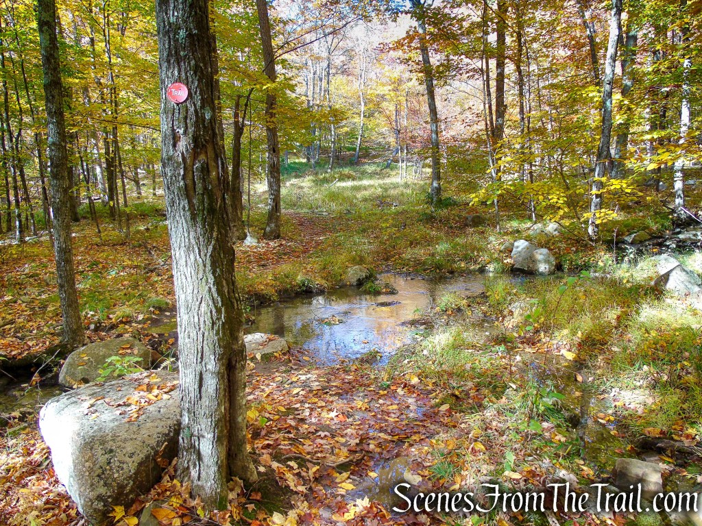 Shawangunk Ridge State Forest Loop from Cox Road Trailhead