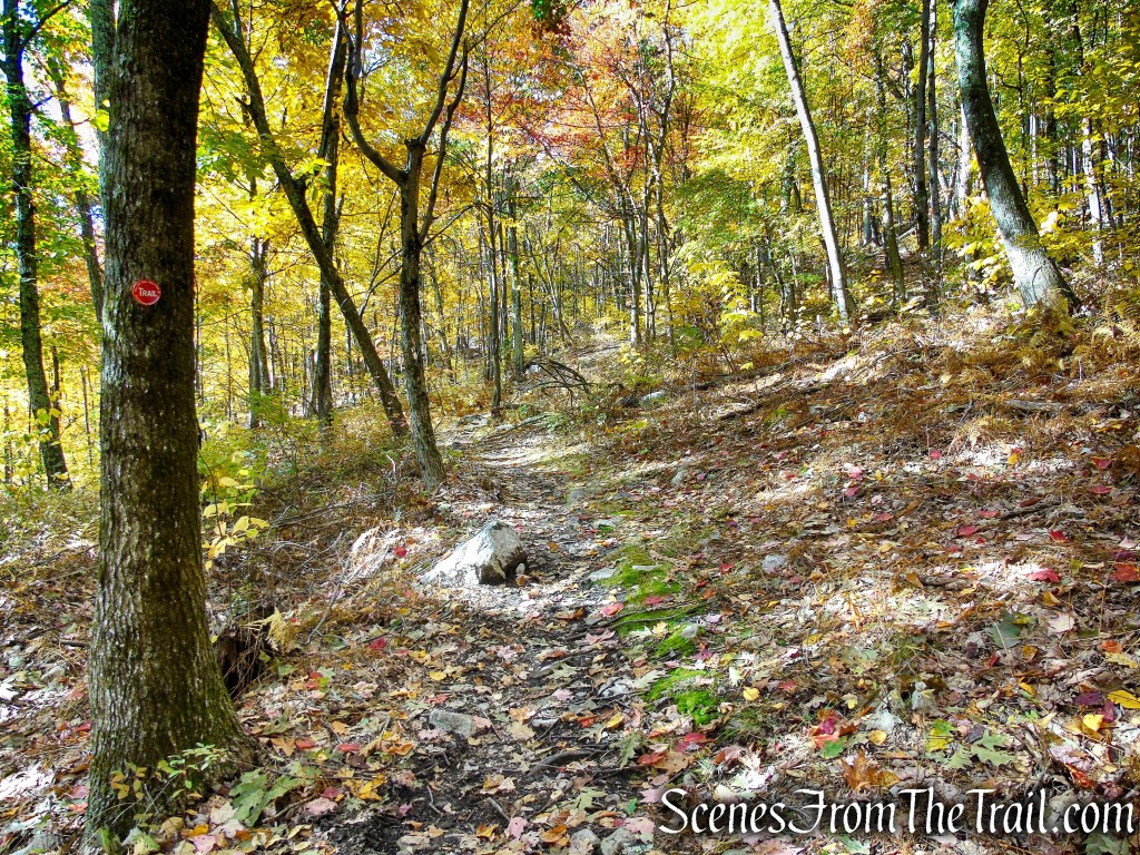 Shawangunk Ridge State Forest Loop from Cox Road Trailhead