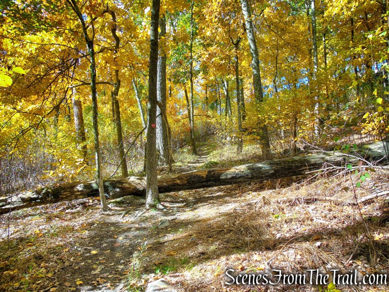 Shawangunk Ridge State Forest Loop from Cox Road Trailhead