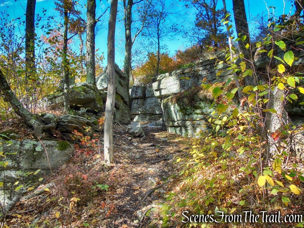 Shawangunk Ridge State Forest Loop from Cox Road Trailhead