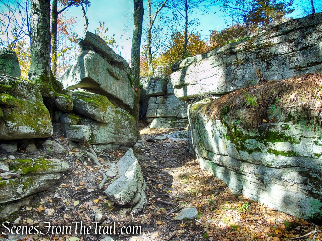 Shawangunk Ridge State Forest Loop from Cox Road Trailhead