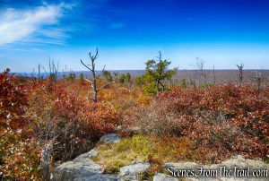 Shawangunk Ridge State Forest Loop from Cox Road Trailhead