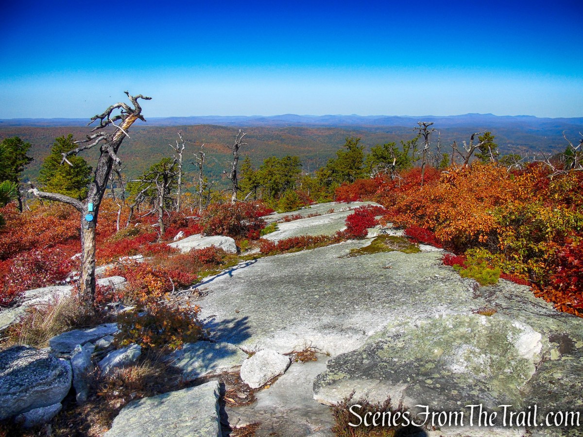 Shawangunk Ridge State Forest Loop from Cox Road Trailhead