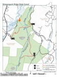 Horseshoe Mine Falls – Shawangunk Ridge State Forest