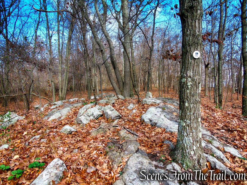 Snake Hill from San Giacomo Park