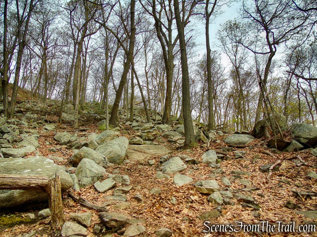 Trail of the Fallen – Popolopen Torne – Bear Mountain State Park