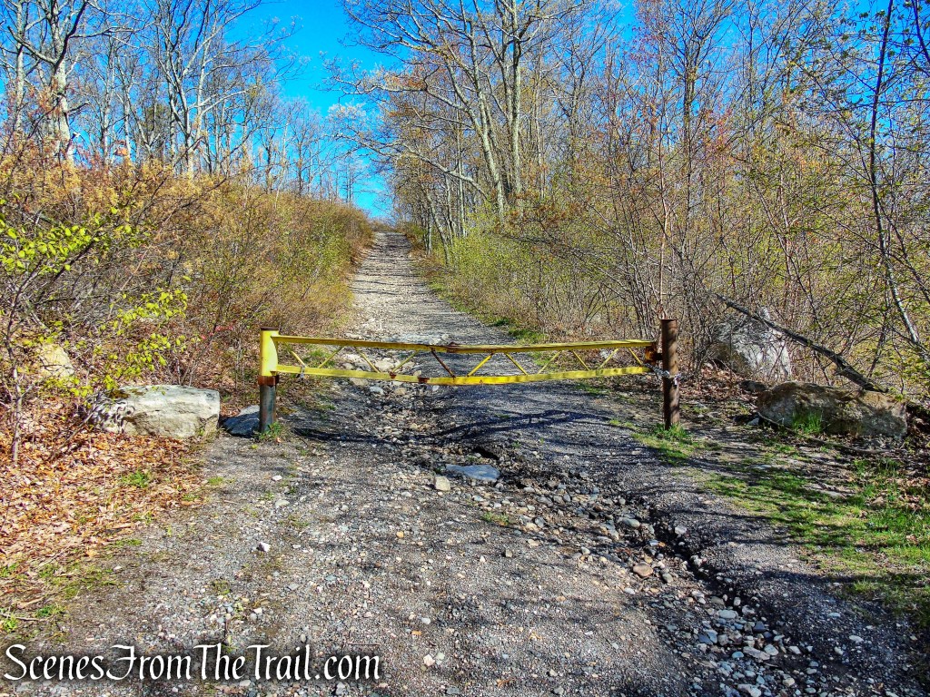 Roosa Gap State Forest