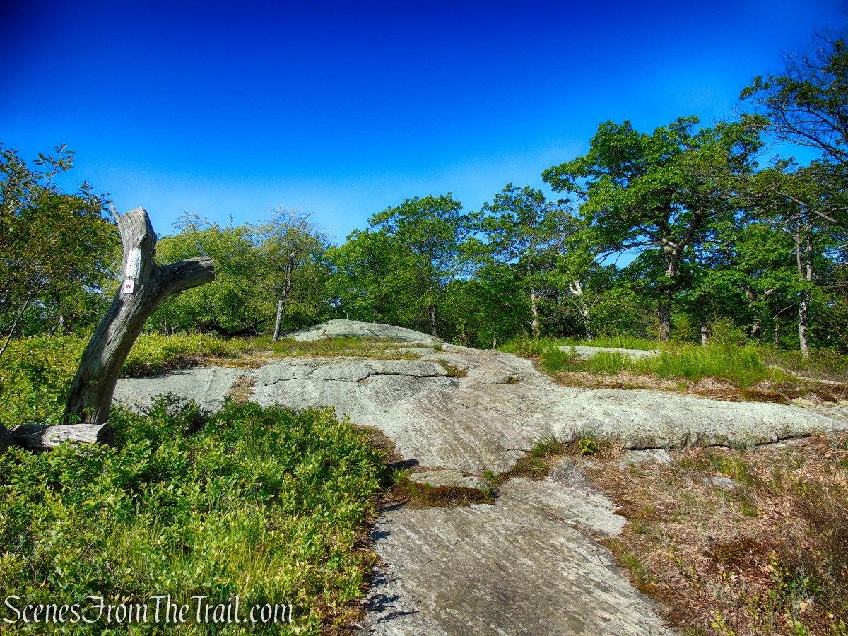AT-Long Path Loop from Tiorati Picnic Area – Harriman State Park