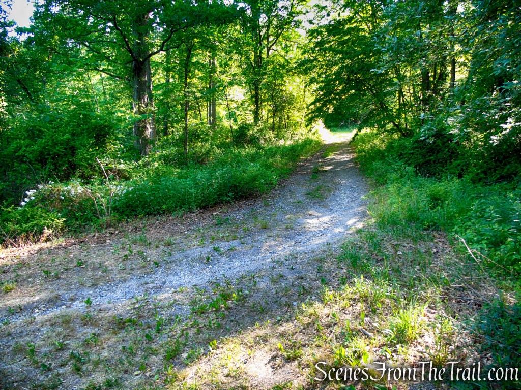 West Mountain Loop – Bear Mountain State Park