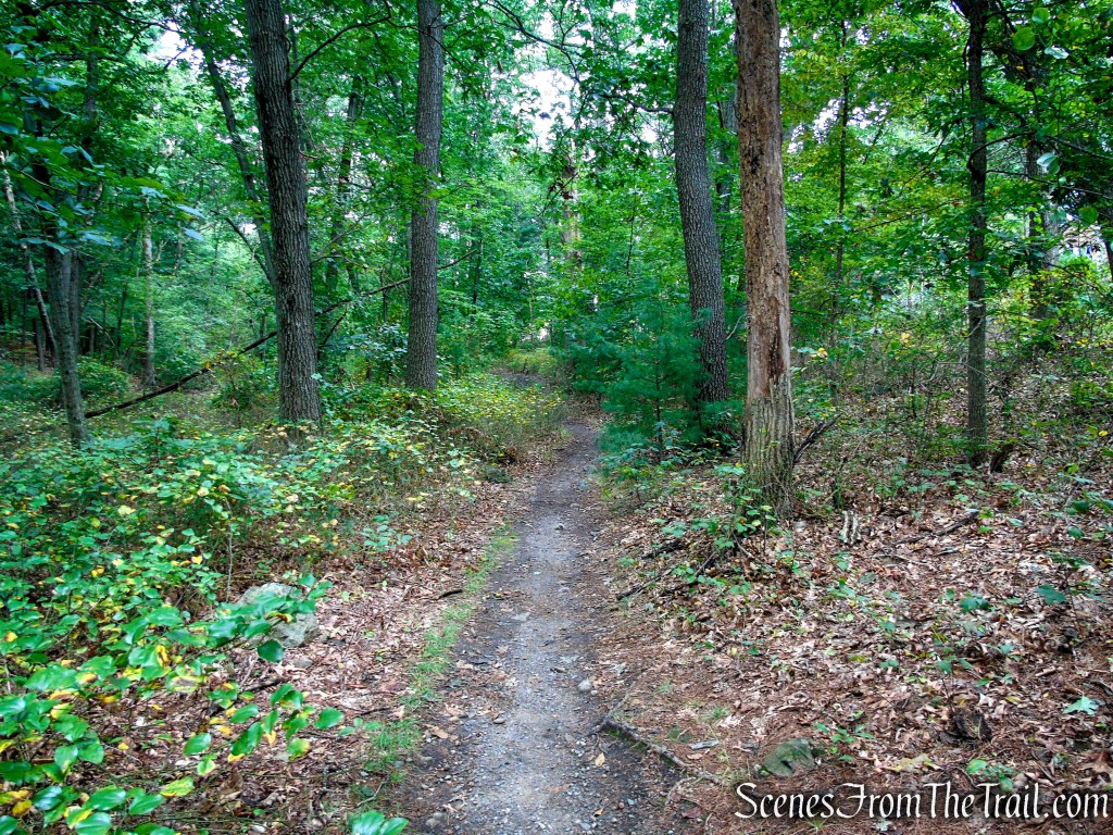 Wright’s Tower – Middlesex Fells Reservation