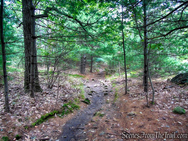 Wright’s Tower – Middlesex Fells Reservation