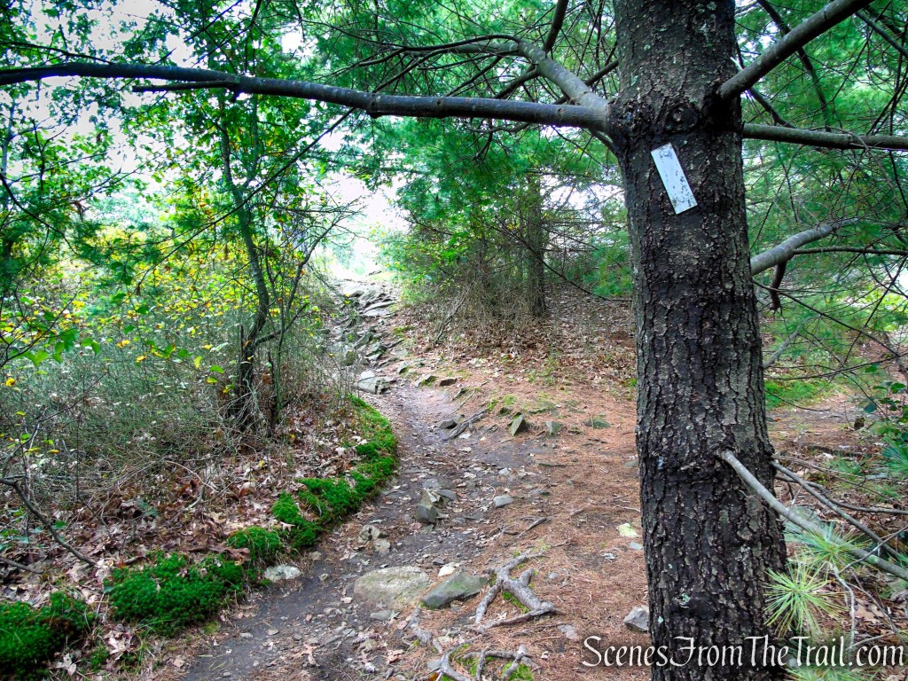 Wright’s Tower – Middlesex Fells Reservation