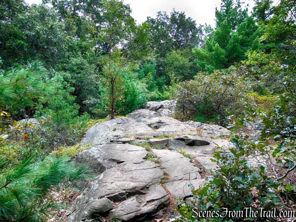 Wright’s Tower – Middlesex Fells Reservation