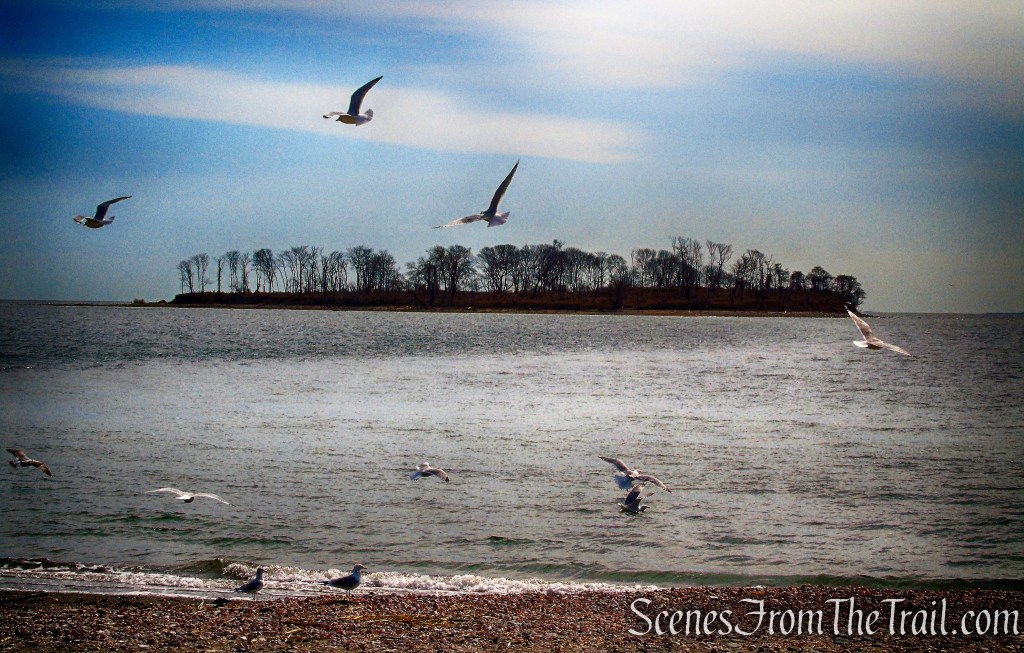 Charles Island – Silver Sands State Park