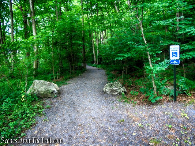 Thompson Pond Preserve Loop