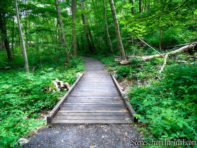 Thompson Pond Preserve Loop
