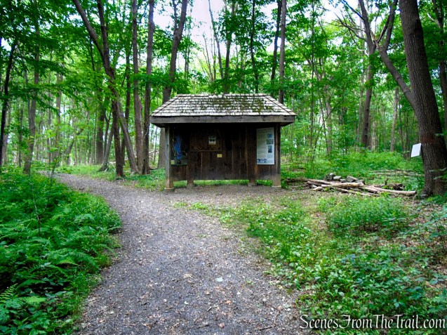 Thompson Pond Preserve Loop