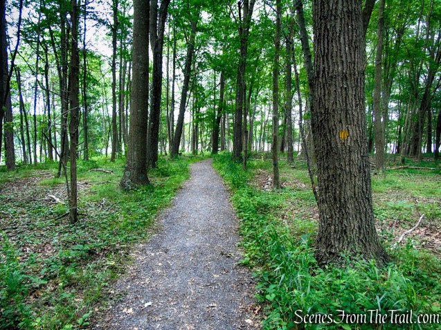 Thompson Pond Preserve Loop