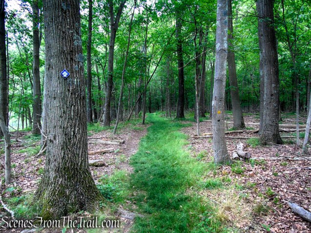 Thompson Pond Preserve Loop