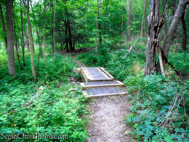 Thompson Pond Preserve Loop