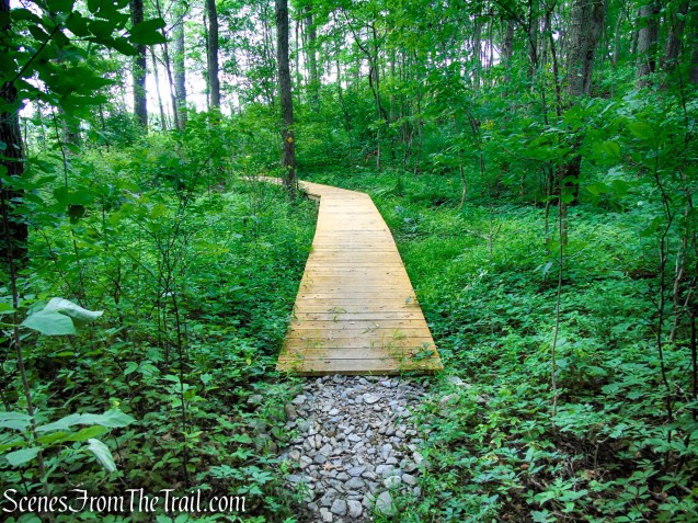 Thompson Pond Preserve Loop