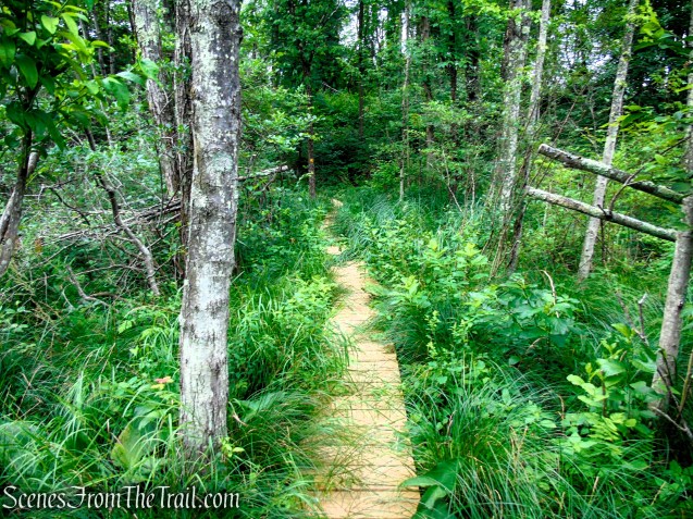 Thompson Pond Preserve Loop