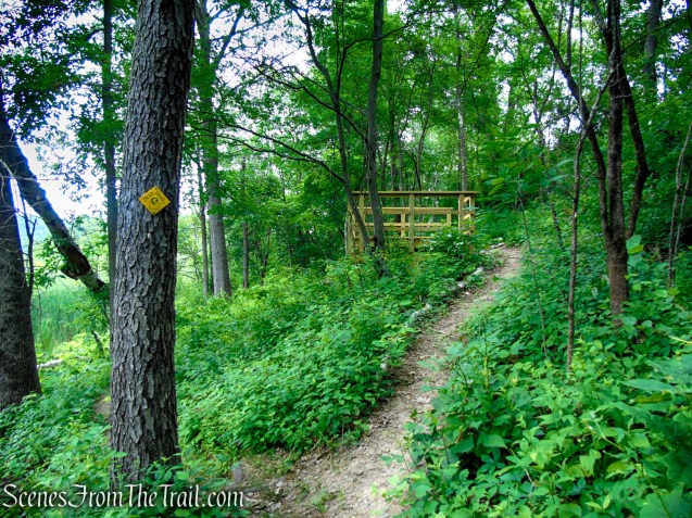 Thompson Pond Preserve Loop