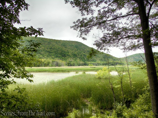 Thompson Pond Preserve Loop